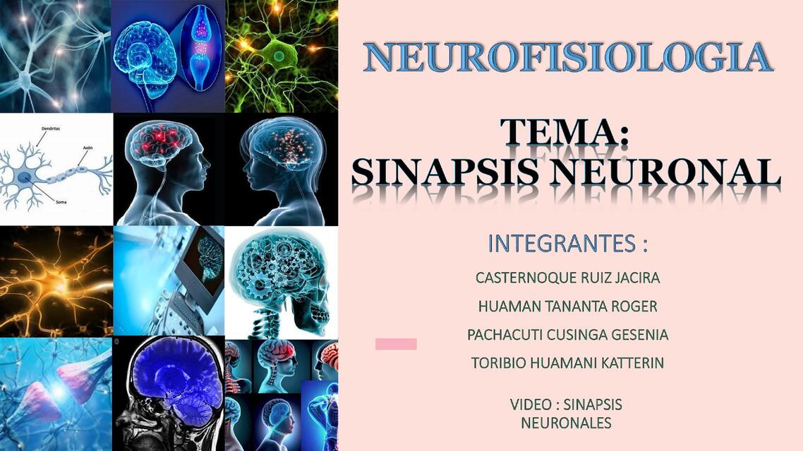 SINAPSIS NEURONAL | Royer Human Tananta | uDocz