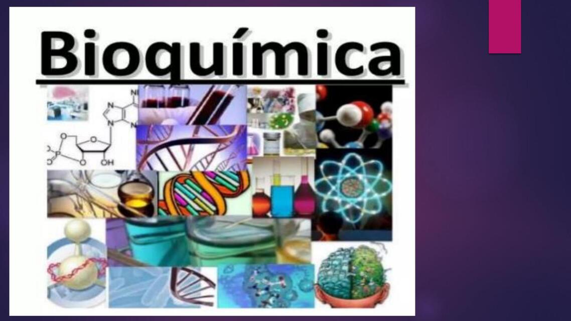 4 CLASE BIOQUIMICA | Liliana Margarita Manrique Teran | uDocz