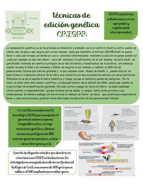 Técnicas de edición genética CRISPR | Dexter | uDocz