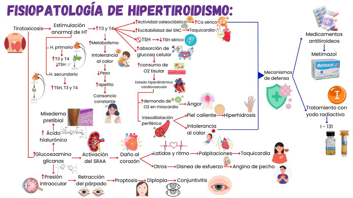 Fisiopatología de hipertiroidismo | WILSON ELIAS LOPEZ VARGAS | uDocz
