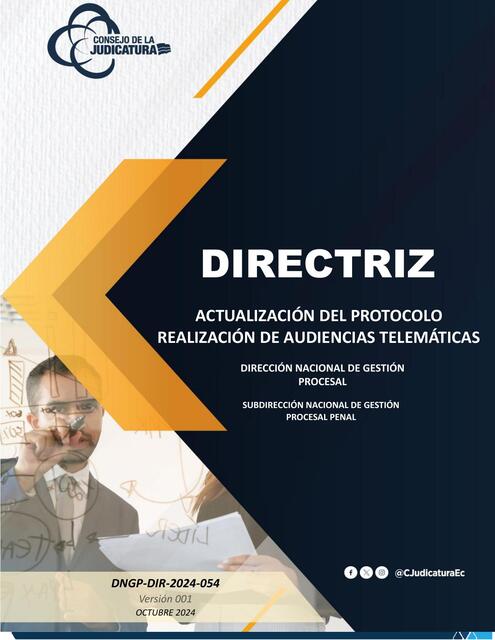 DNGP DIR 054 Protocolo realización de videoaudienc | anny | uDocz