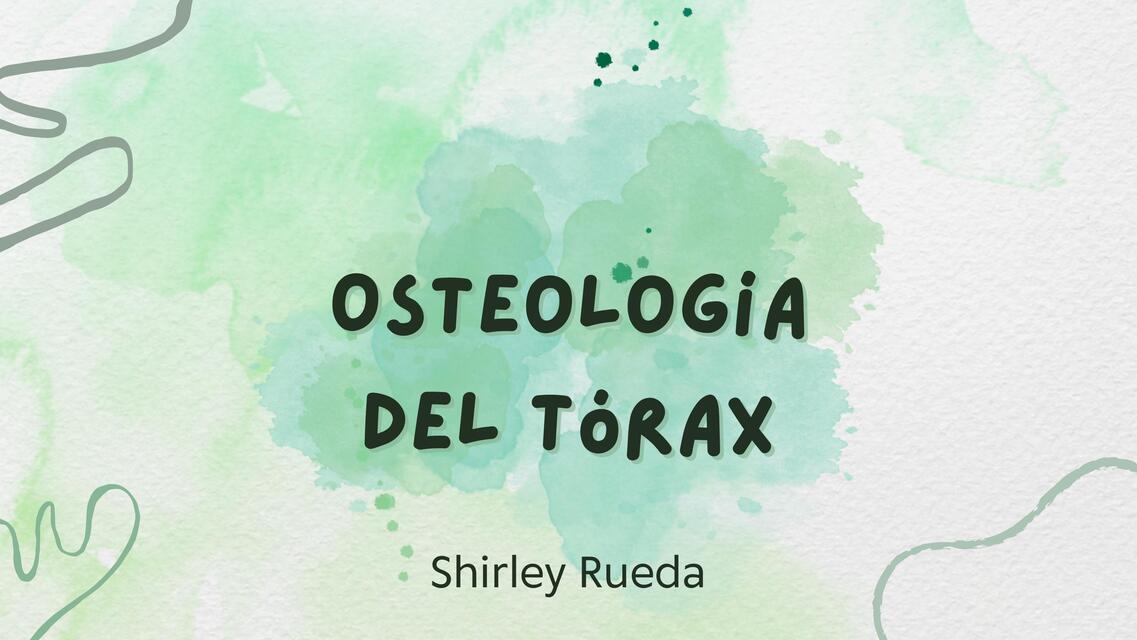 Osteología del tórax | Shirley Dayana Rueda Moncada | uDocz