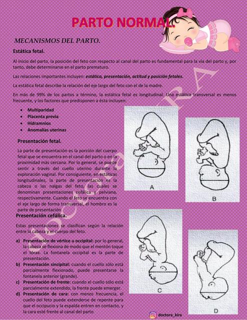 RESUMEN PARTO NORMAL | Obstetricia | Medicina | uDocz RESUMEN PARTO NORMAL | Obstetricia | Medicina | uDocz
