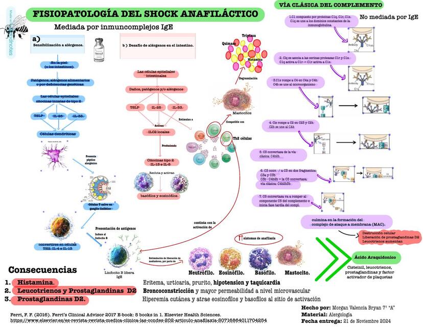 Fisiopatologia del shock anafiláctico | Morgan | uDocz