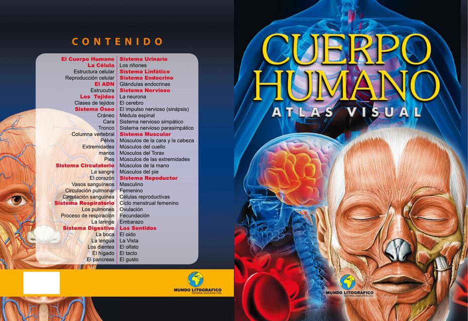 CUERPO HUMANO ATLAS VISUAL | Sarahi Andrade | uDocz
