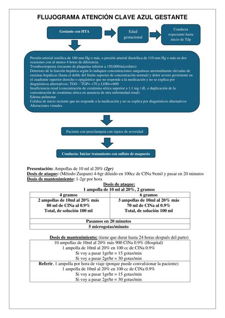 FLUJOGRAMA ATENCIÓN CLAVE AZUL GESTANTE | jefferson julio | uDocz