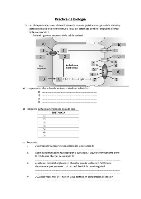 Practica de biología | CANDELA MARTINEZ | uDocz