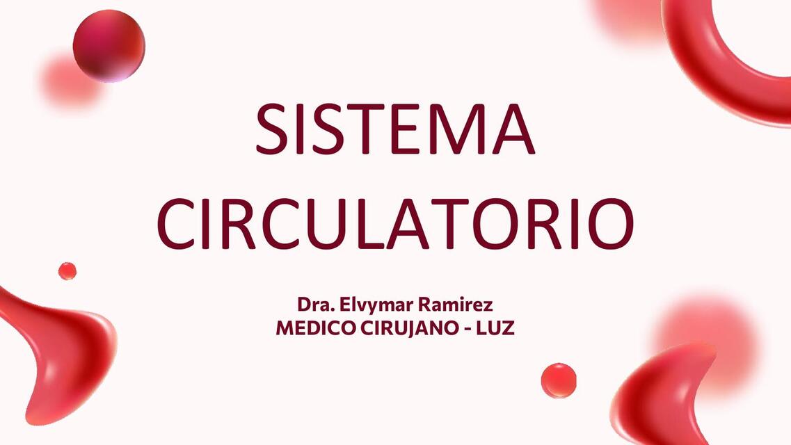 SISTEMA CIRCULATORIO | Elvymar | uDocz