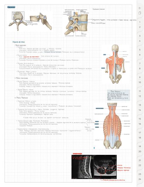 Columna | Ana Sofia Alvarez Rios | uDocz