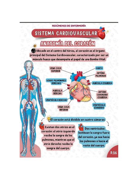Documento 11 | Mayra | uDocz