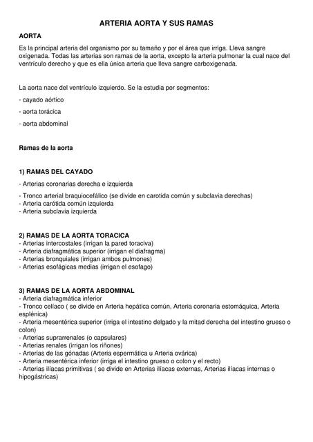 ARTERIA AORTA Y SUS RAMAS | Kevin | uDocz