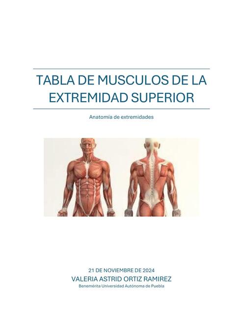 Tabla de musculos de la extremidad superior | Vale | uDocz