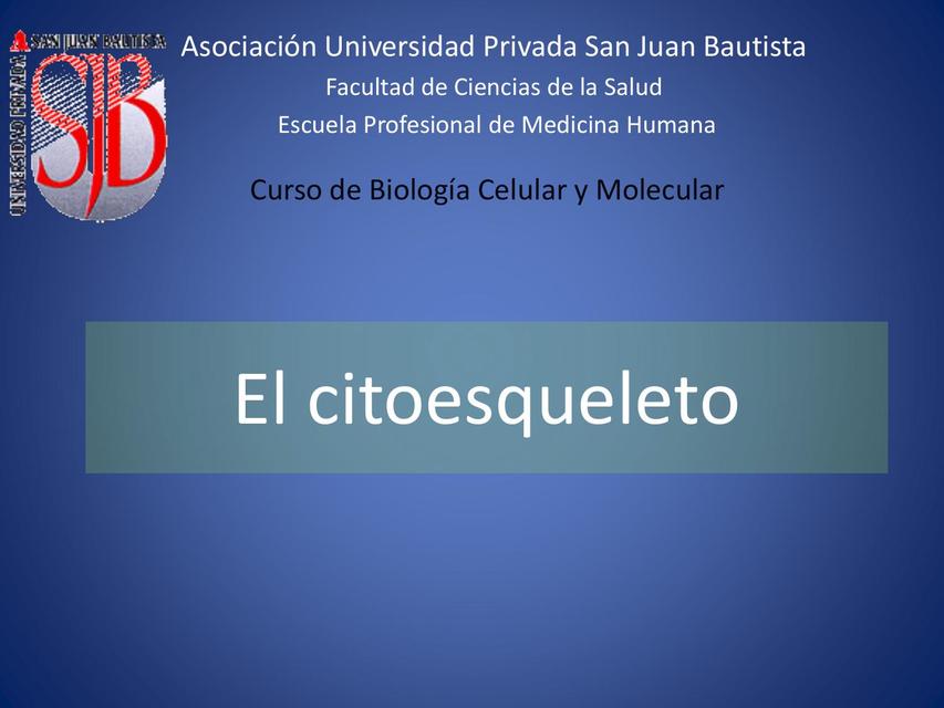 El citoesqueleto | Ahmed Casana | uDocz