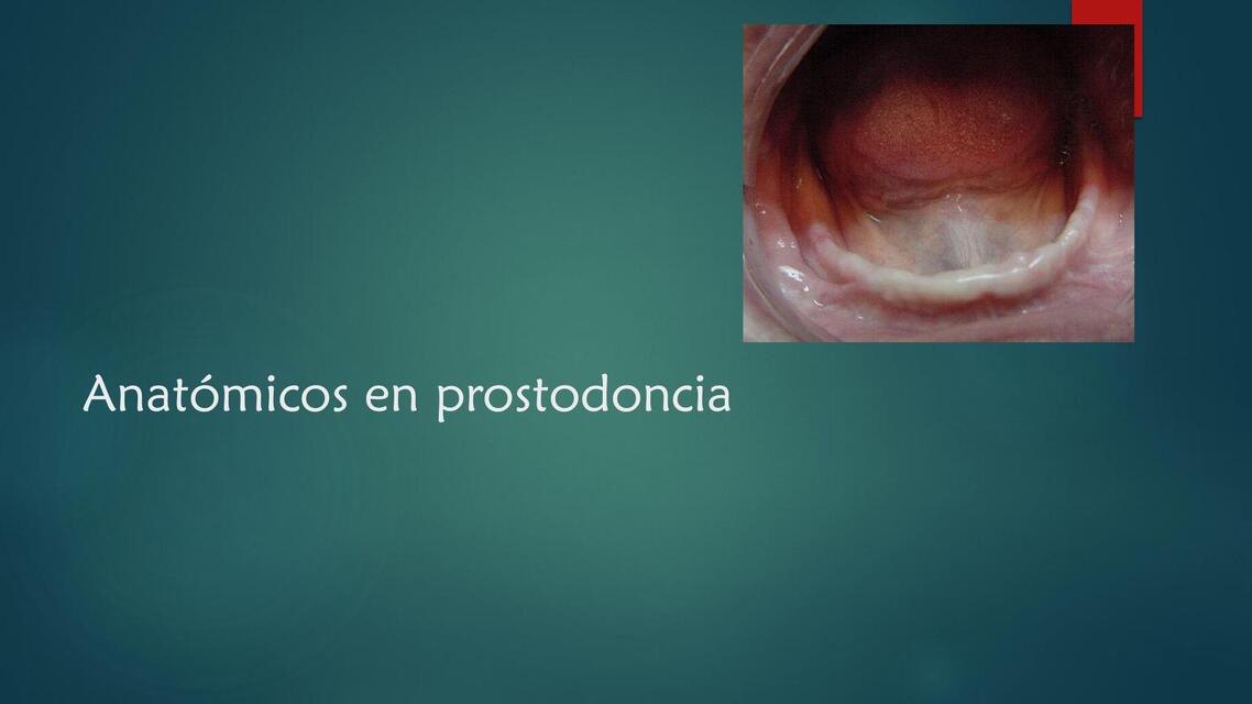 ANATOMIA DE EDENTULOS | Adriana | uDocz