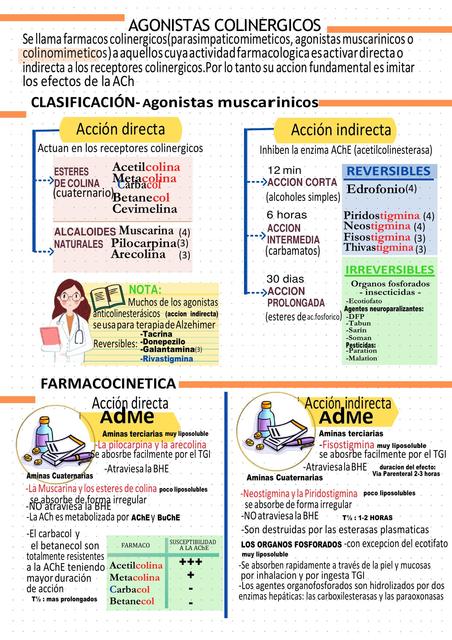 Fármacos colinergicos GandarillaDeHonorDianaAngelica
