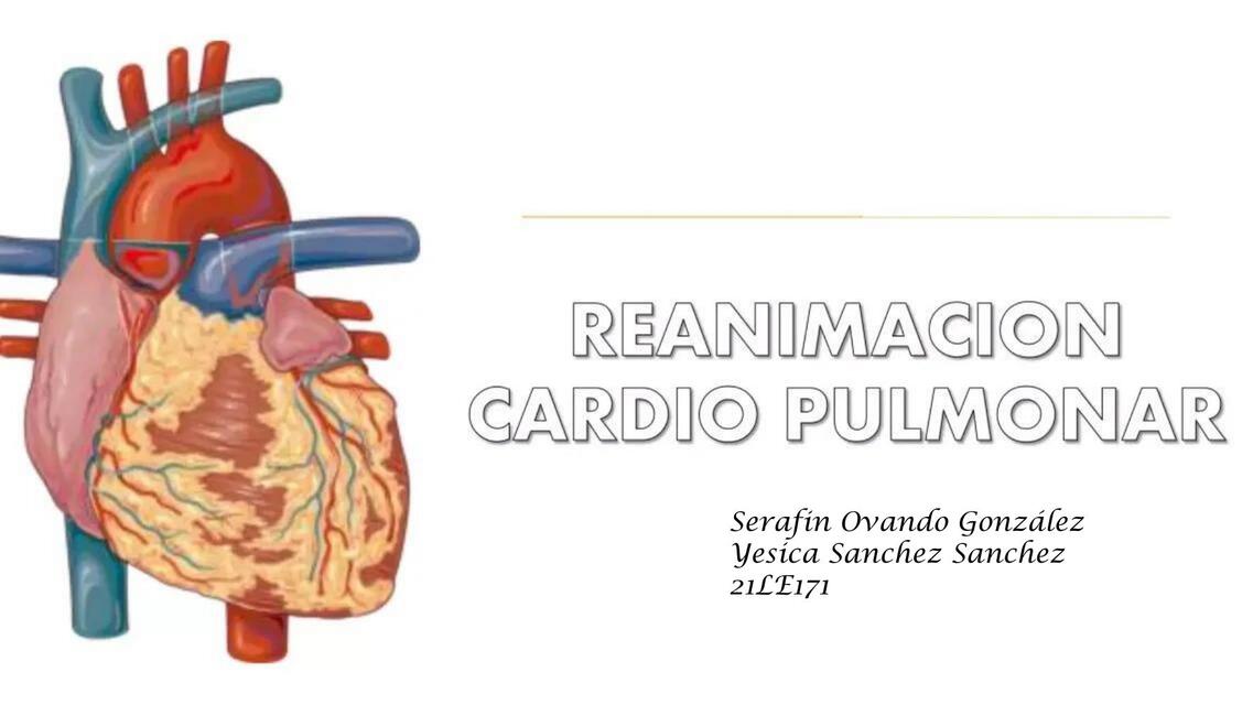 RCP basico y RCP avanzado | Leydi | uDocz