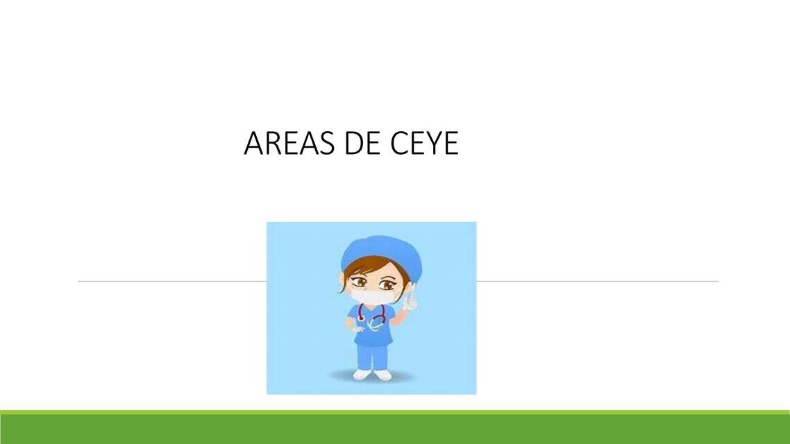 AREAS DE CEYE | Leydi | uDocz