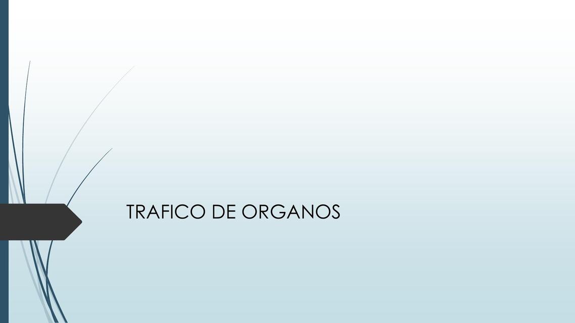 TRAFICO DE ORGANOS | Leydi | uDocz