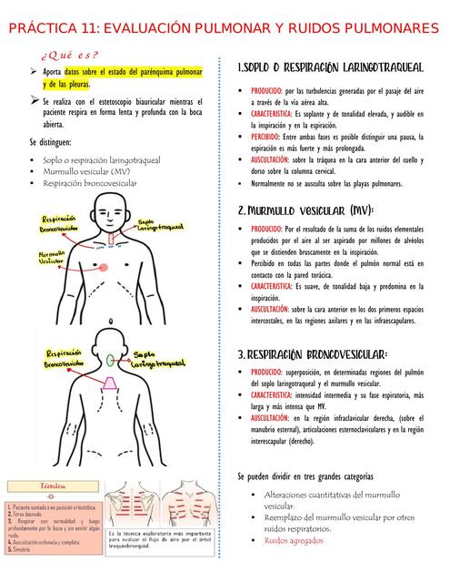 PRÁCTICA 11 AUSCULTACIÓN Y RUIDOS PULMONARES | Daniel FP | uDocz