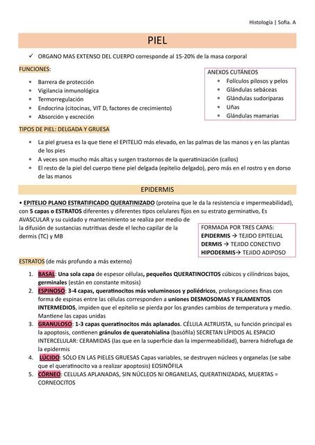 HISTO PIEL | Samira. A | uDocz