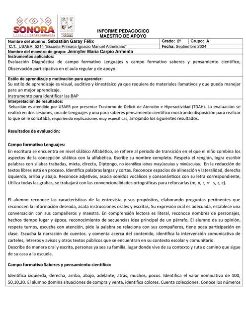 INFORME PEDAGOGICO 2DO revisado 1 | Selene Valenzuela | uDocz
