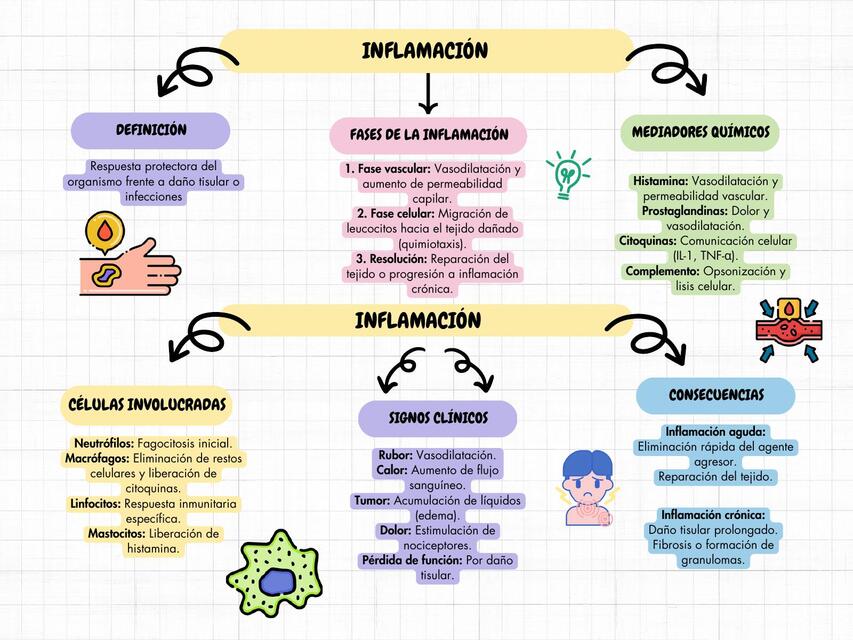 Mapa conceptual de la inflamación | Julian Escalona García | uDocz