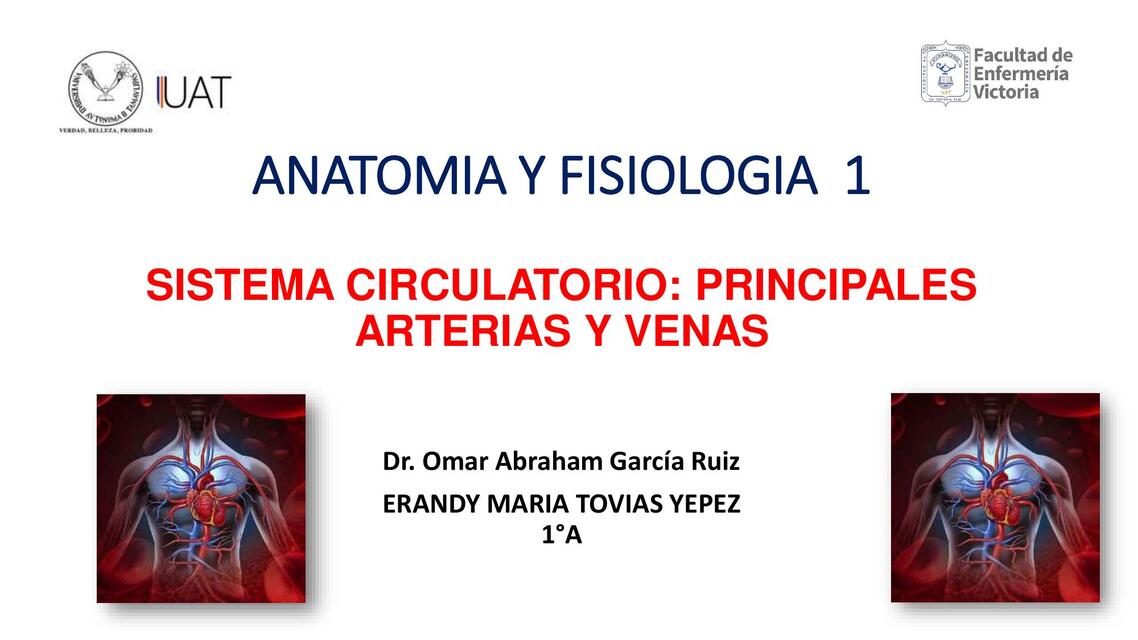 SISTEMA CIRCULATORIO | Erandy Tovias | uDocz