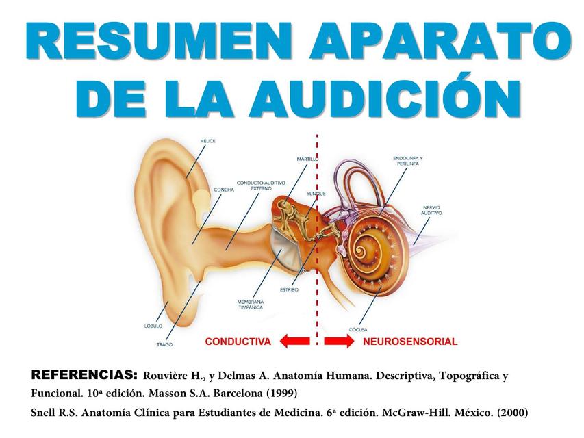 RESUMEN APARATO DE LA AUDICIÓN | Anatomía | Apuntes de medicina | uDocz