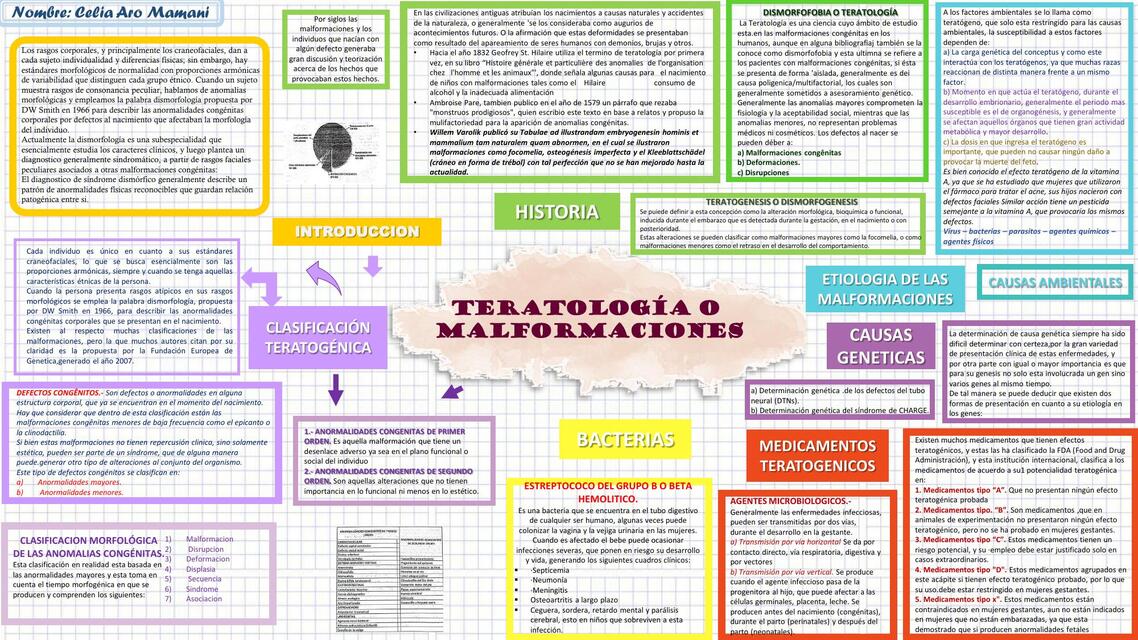 TEMA 8 | Celia Yudith | uDocz