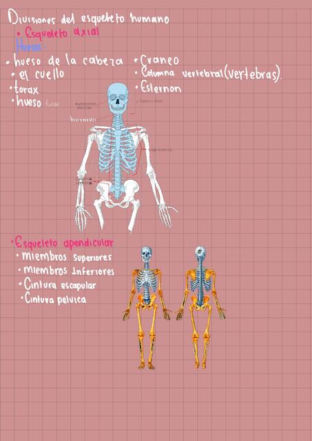 inbound | Karla | uDocz