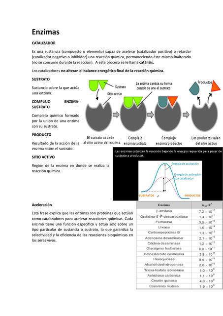 Enzimas | Franz | uDocz