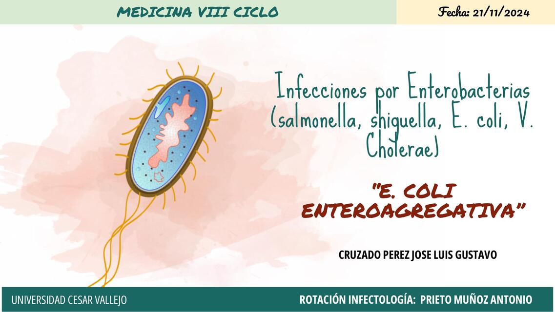 Infecciones por Enterobacterias salmonella shiguel | Luis | uDocz