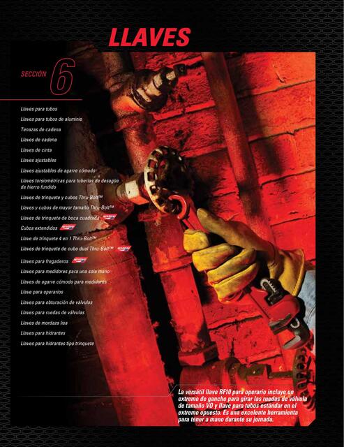 Seccion 6 | Jennifer Solari | uDocz