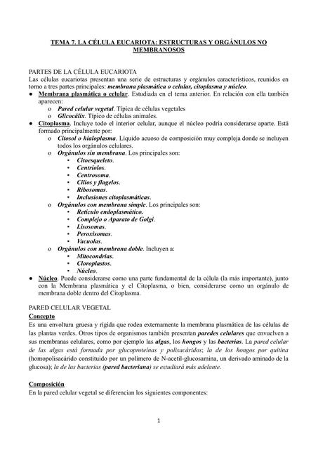 TEMA 7 ORG NULOS NO MEMBRANOSOS docx | Dani | uDocz
