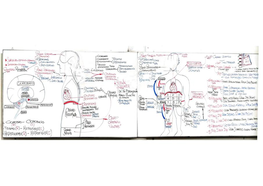 Documento 71 2 | sum | uDocz