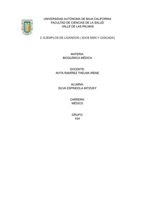 2 EJEMPLOS DE LIGANDOS 2DOS MSN Y CASCADA | Mitzuky | uDocz