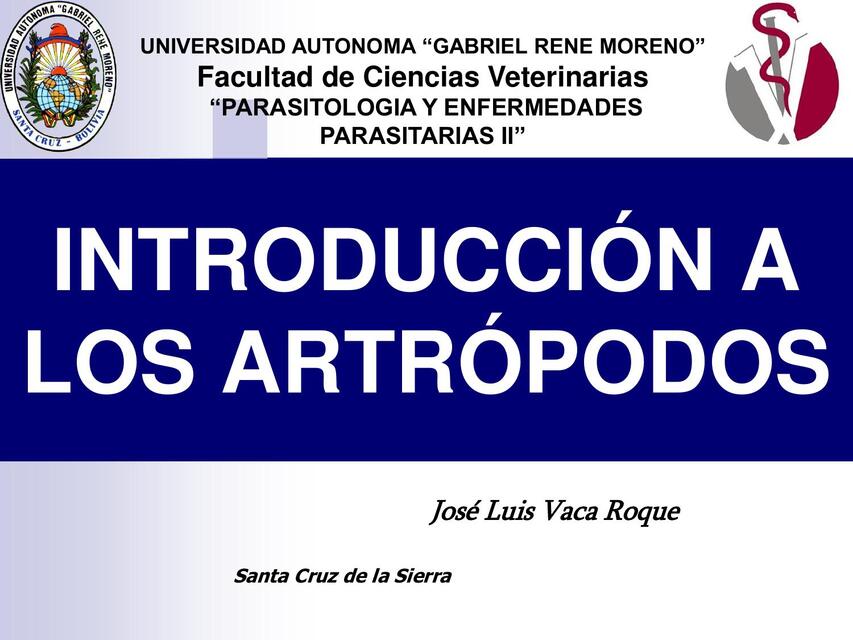 17 INTRODUCCION A LOS ARTROPODOS | Atenea Morgan | uDocz
