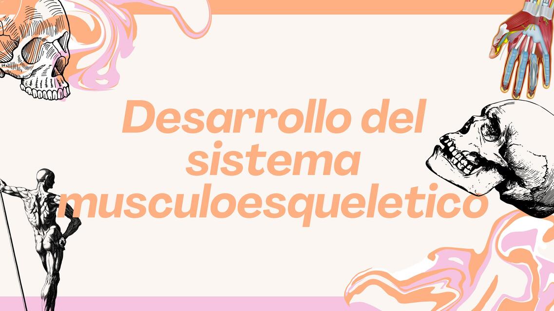DESARROLLO DEL SISTEMA MUSCULAR pdf | Emilio | uDocz