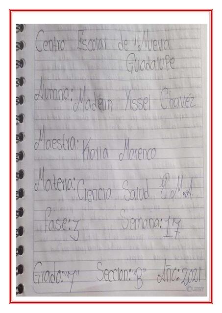 MADELIN PEREZ CIENCIA 4 | Leydi Benavides | uDocz