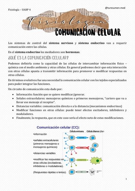 Fisiología comunicación celular | @TURESUMEN.MED | uDocz