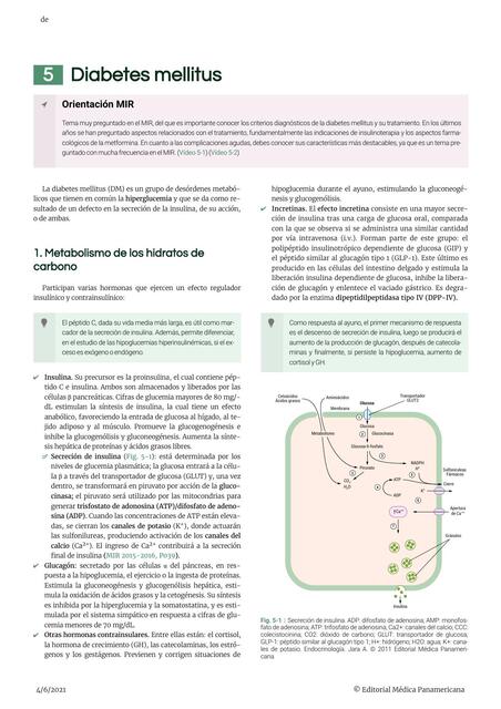 ENDO 5 | CANVAS UTILITARIOS | uDocz