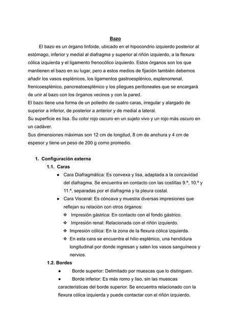 Bazo | Shirley Dayana Rueda Moncada | uDocz