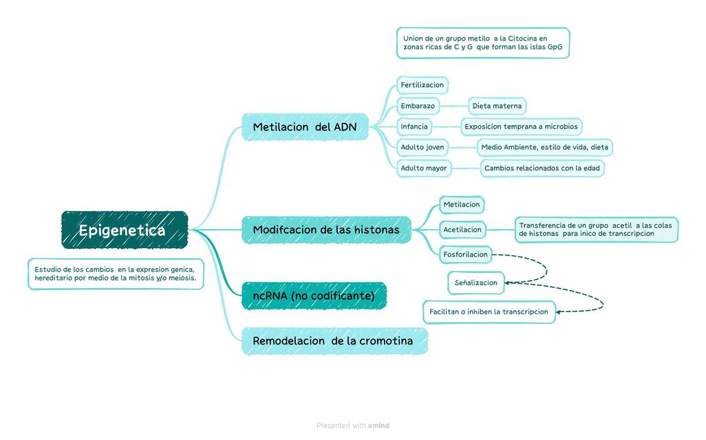 Epigenetica | DAYANA BIANCA | uDocz