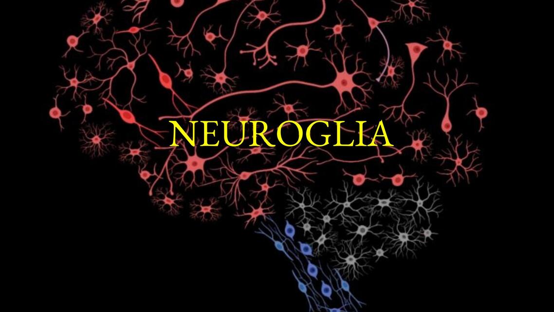neuroglia pptx | MARIA DEL ROSARIO HUERTA DE LIMA | uDocz