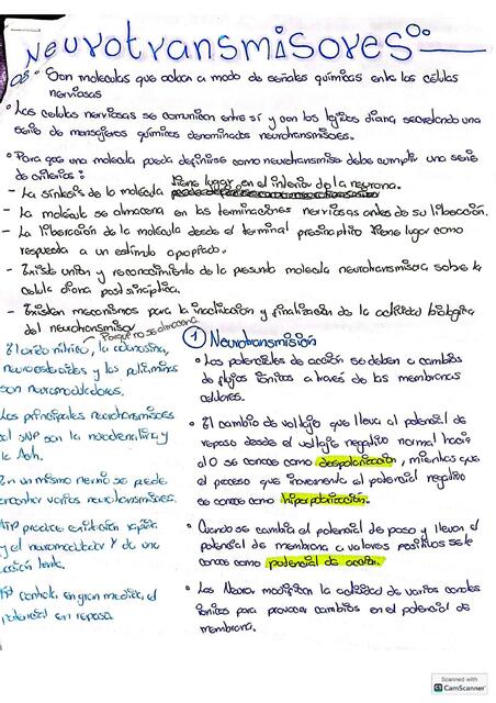 Cap. 26 Baynes neurotransmisores | Angela Molina | uDocz