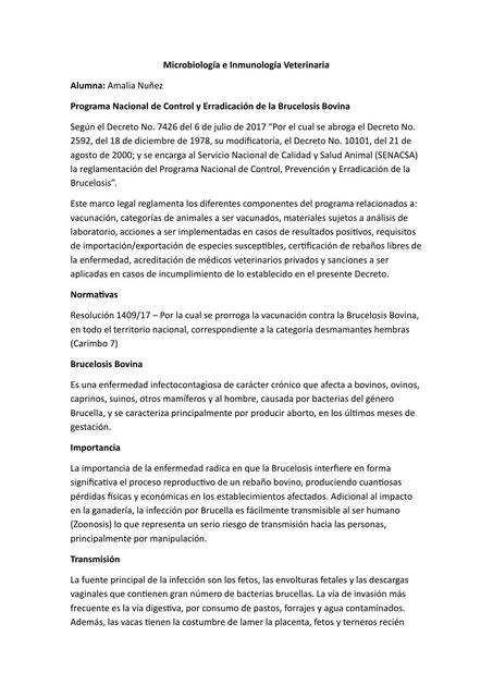 Brucelosis | AMALIA ARACELI | uDocz