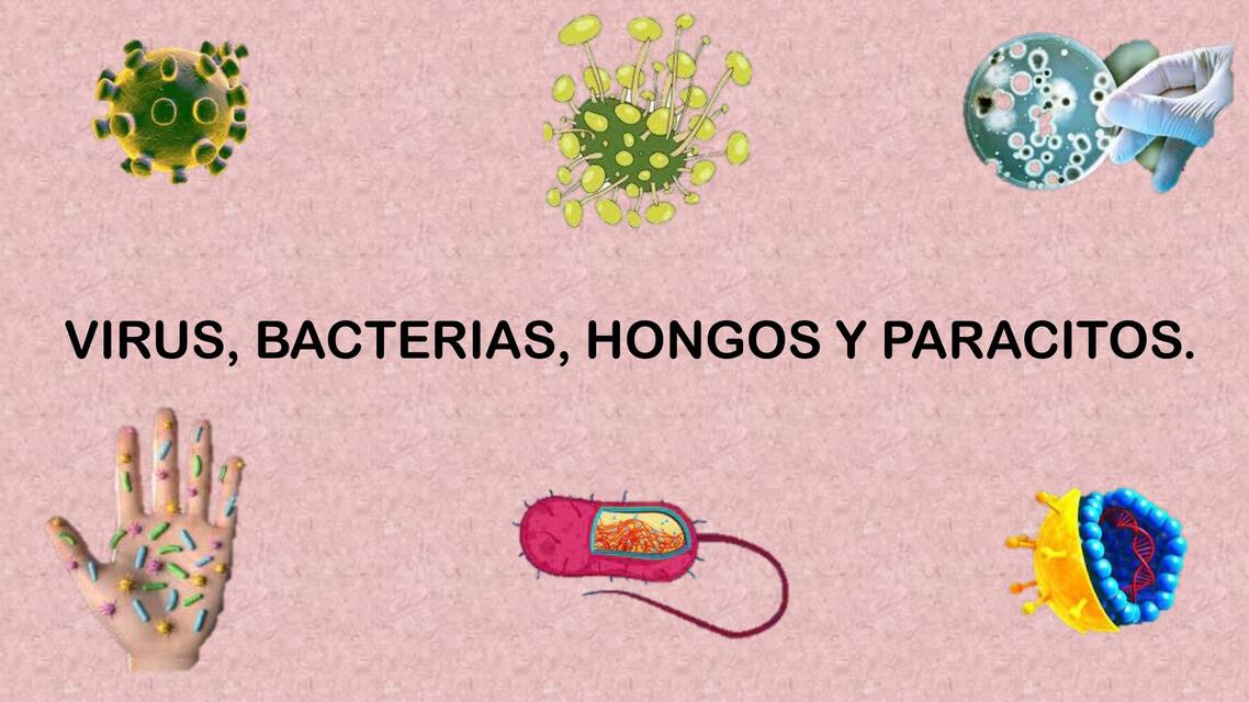 Virus bacterias hongos y parasitos | 501 Johana Lizeth | uDocz
