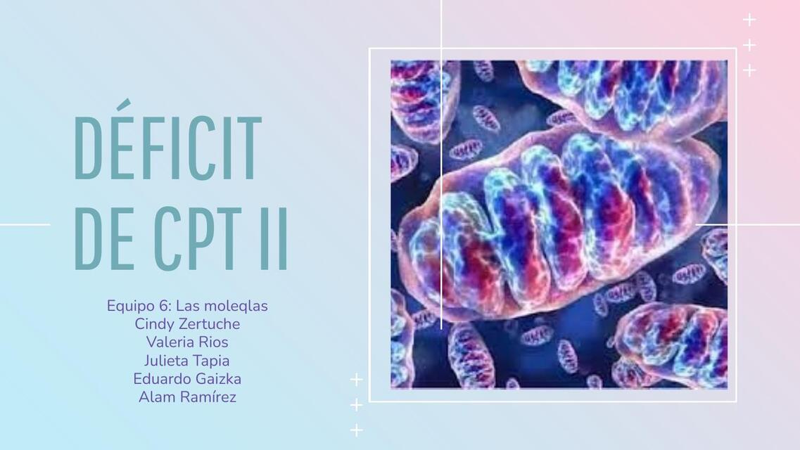 Deficiencia de CPT II | Is Blake | uDocz