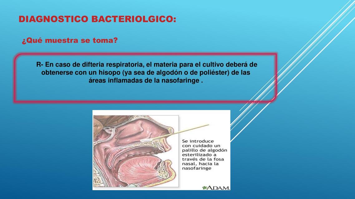 12 y 13 | Juan_ Quispe | uDocz