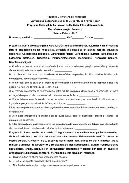 Ex MFPH II | Adriana | uDocz